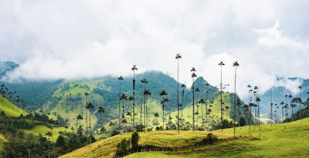 How to get mobile internet in Colombia: What is the best option? - Holafly