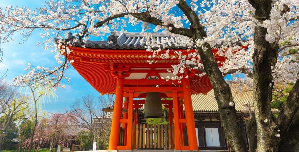 Can I use my phone in Japan? - Holafly