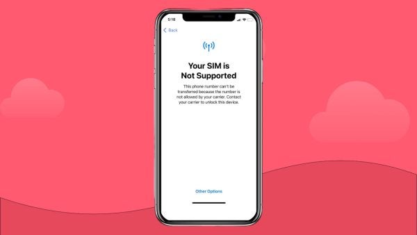 How to buy an eSIM online - Holafly