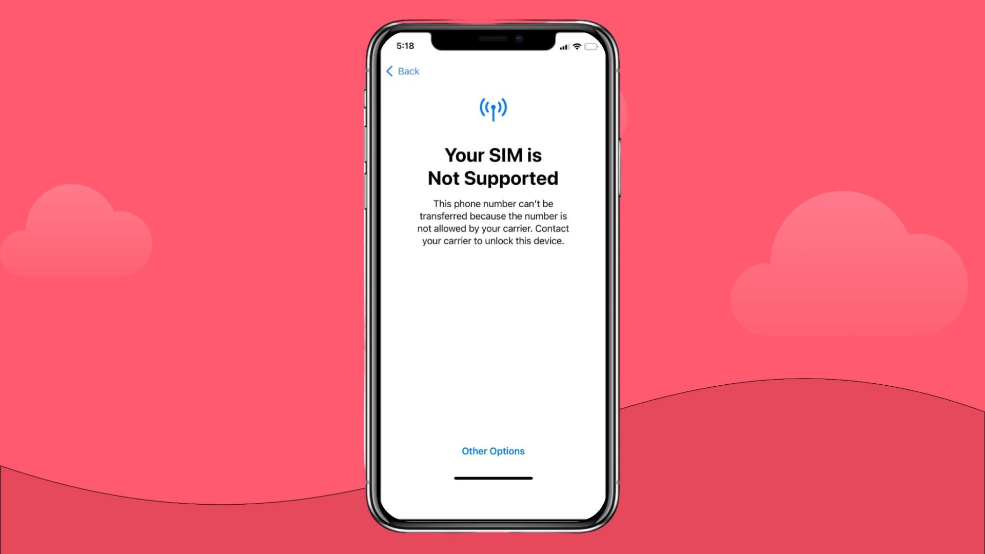 How to buy an eSIM online - Holafly