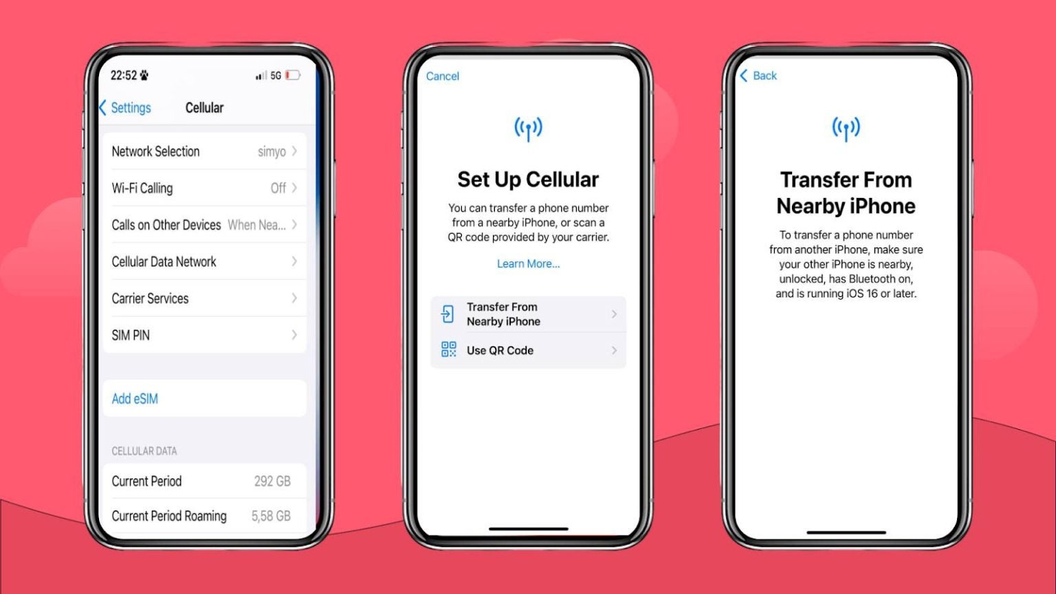 How to check if eSIM is activated on iPhone - Holafly