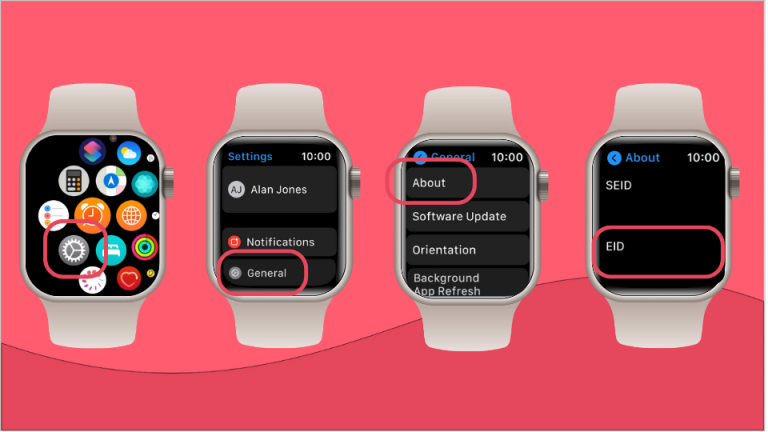 What is an EID number? Your complete guide- Holafly
