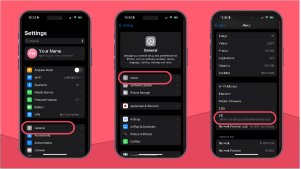What is an EID number? Your complete guide- Holafly