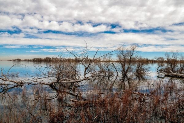 Top 10 things to do near Denver Airport - Holafly