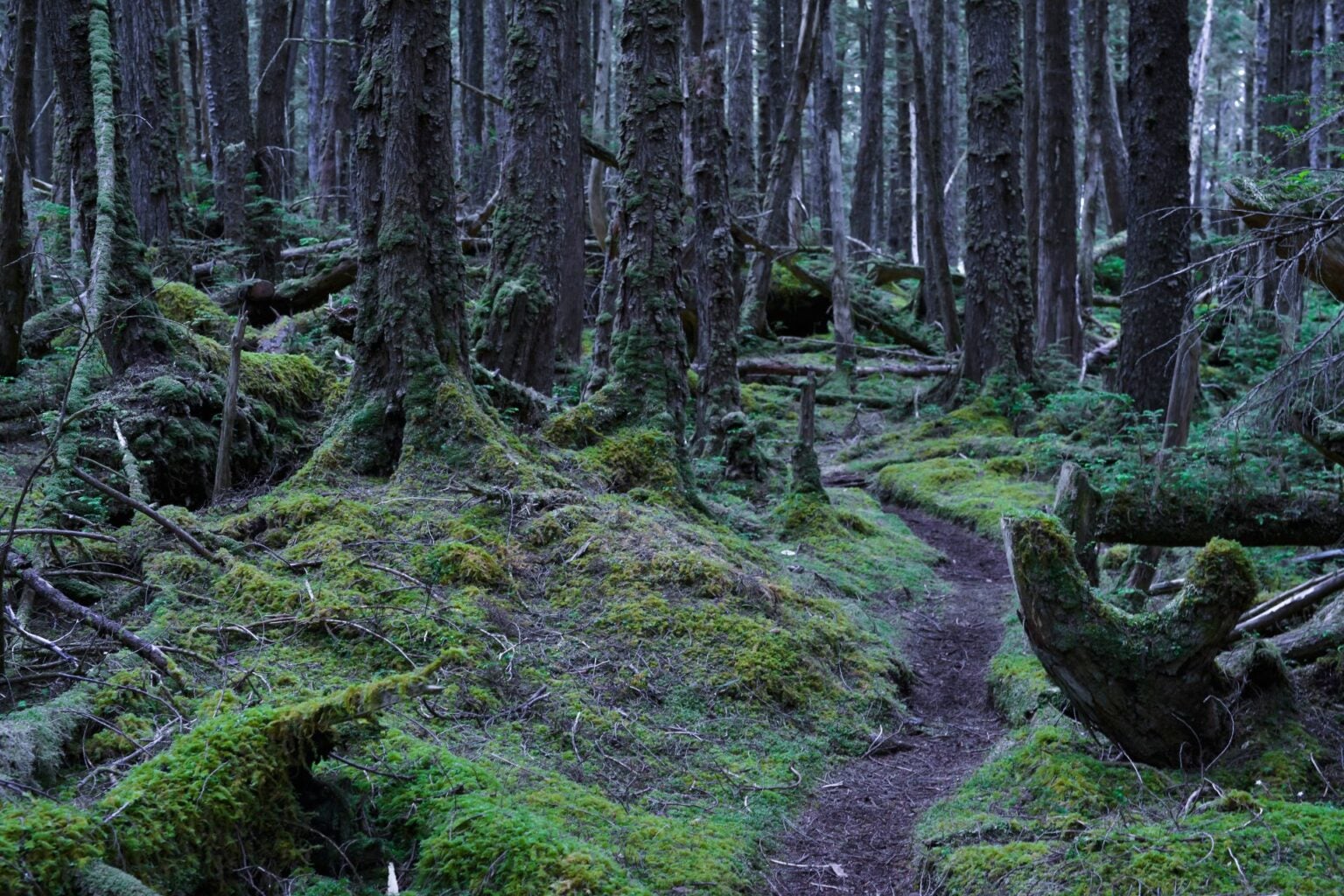What Canada is known for: 15 famous things in Canada