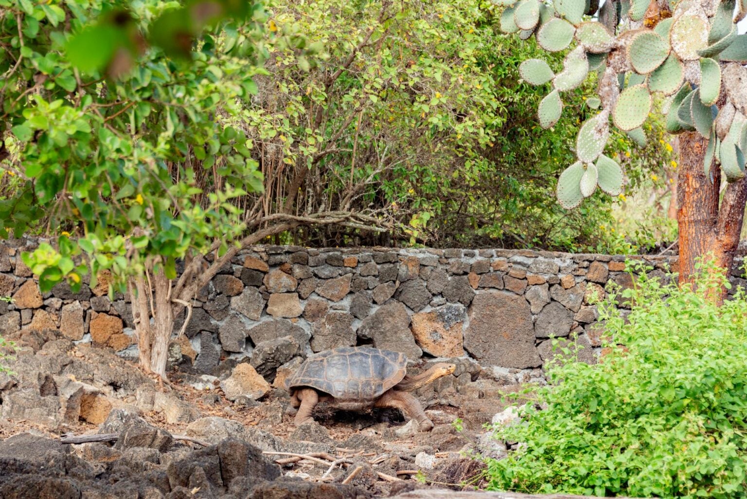Ecotourism examples: What it is and where to go? - Holafly