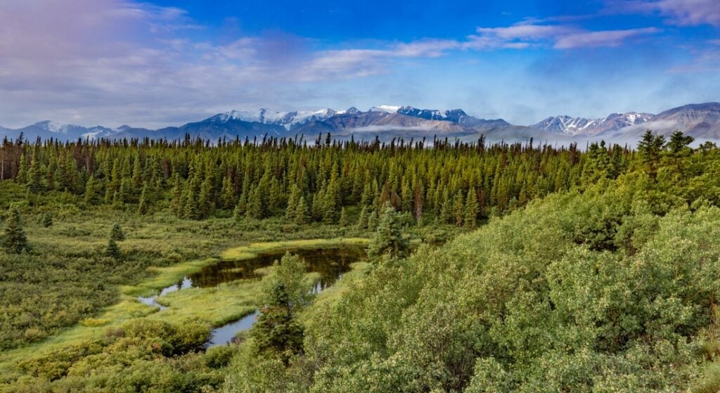 10 Fun facts about Canada - Holafly