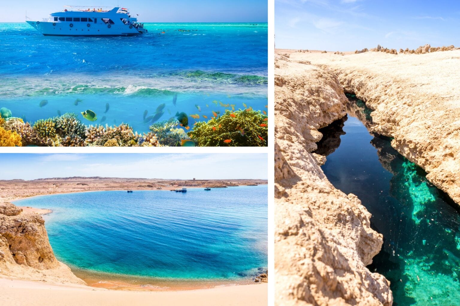 Scuba diving in the Red Sea: Best spots and prices - Holafly