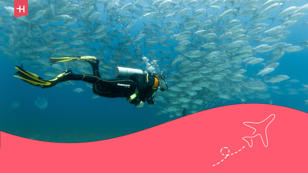 Scuba diving in Panama: Best spots and prices - Holafly