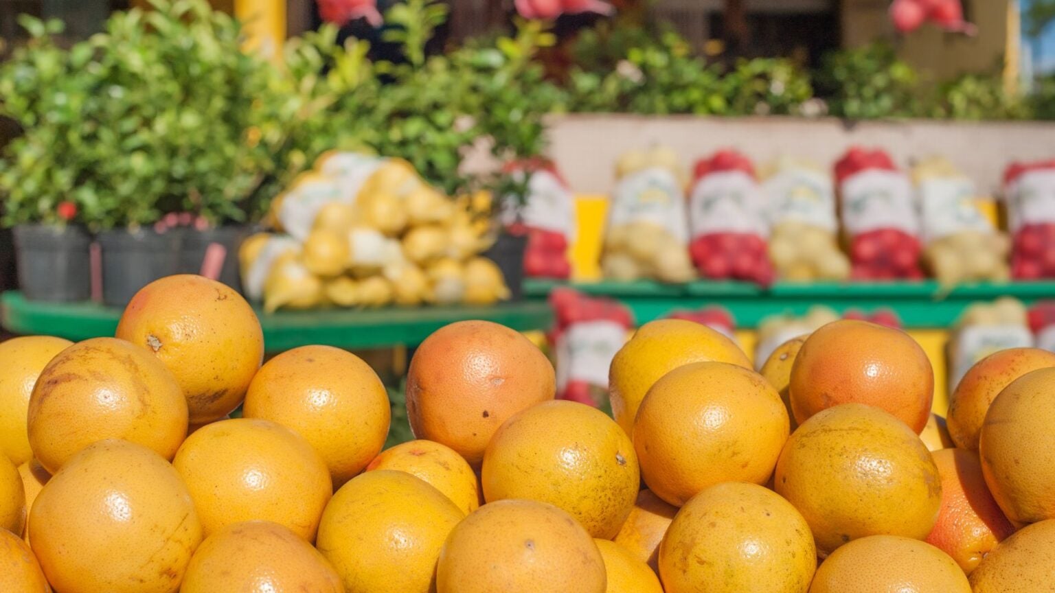 The best Florida souvenirs: What to buy in Florida from a local expert