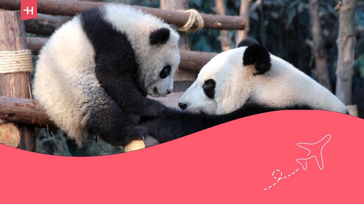 Kiedy najlepiej jechać do Chin?