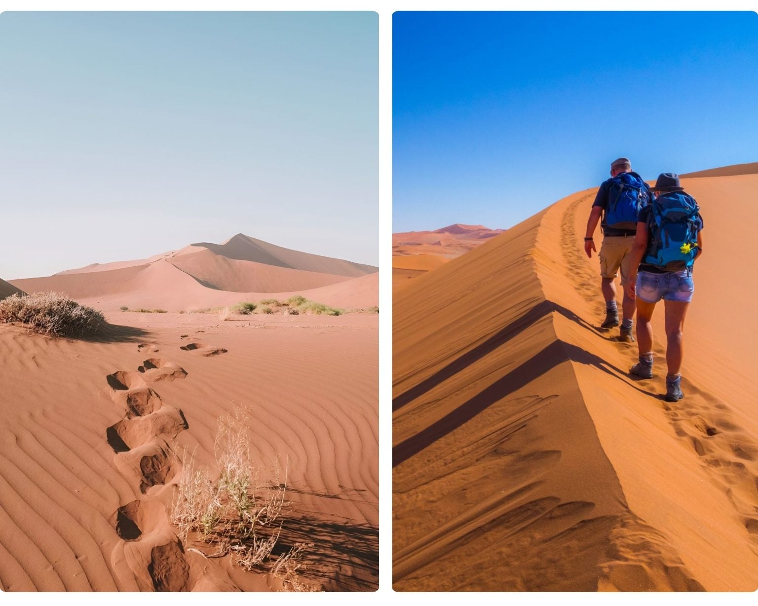 ¿Cómo obtener la visa para nómadas digitales en Namibia? - Holafly