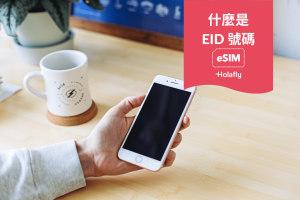 IMEI 和 EID 碼是什麼，如何在手機裡找到它們？ - Holafly
